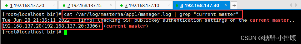 Mysql之mha高可用配置及故障切换（图文详解，累到吐血）糖醋·小排顾的博客 Csdn博客