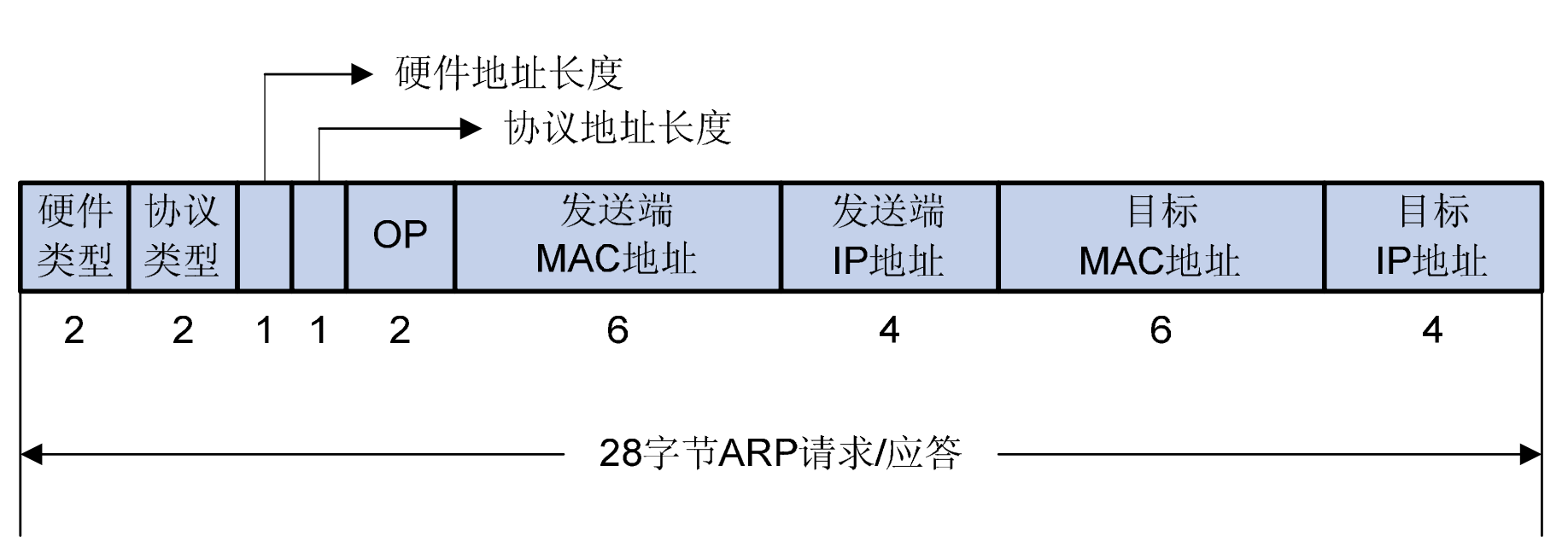 网络基础--ARP技术介绍_arp snooping-CSDN博客