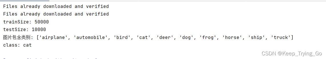 使用pytorch加载数据集和对数据集进行处理_print('datasize : {}'.format(len(dataloader.datase-CSDN博客