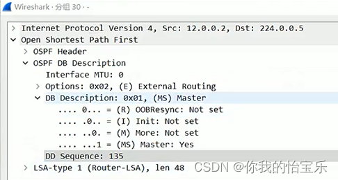 HCIP —— OSPF 的 LSA 详解_ospf lsa-CSDN博客