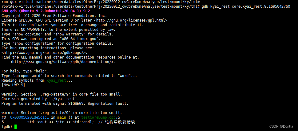 C++ docker核心转储core dump（容器中修改/proc/sys/kernel/core_pattern需开启特权模式--privileged=true）_docker 内部发生了 ...