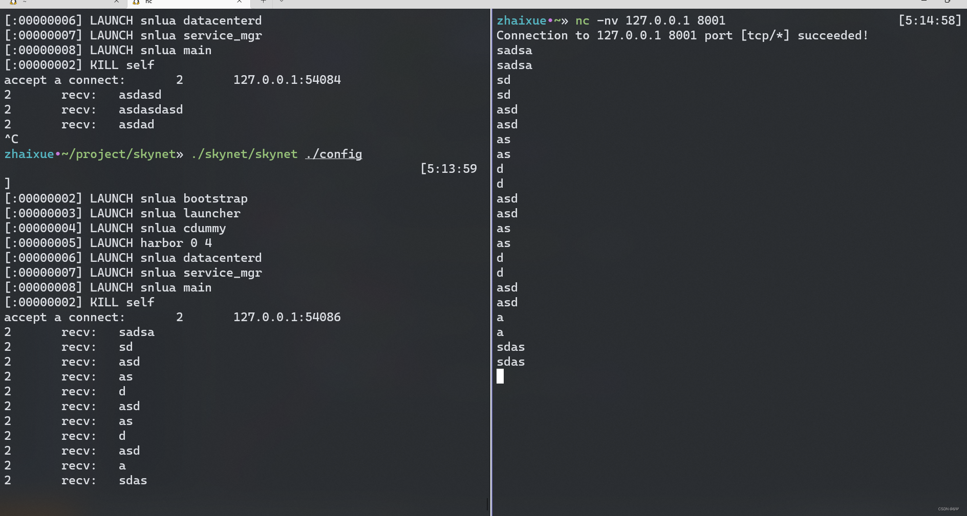 skynet环境搭建_luapanda skynet-CSDN博客