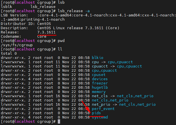 k8s missing required cgroups: pids_[error systemverification]: missing required cgrou-CSDN博客