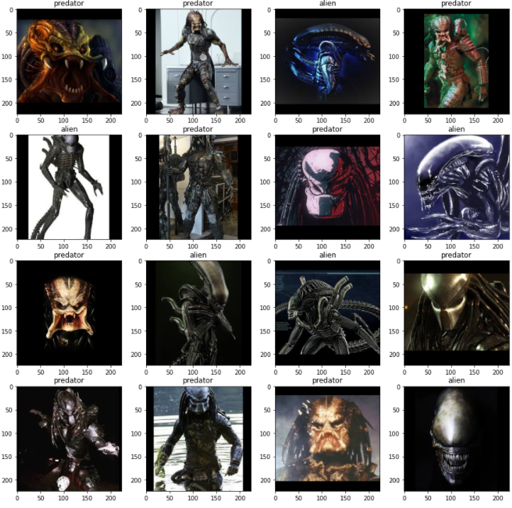 【小白学习PyTorch教程】十二、迁移学习：微调VGG19实现图像分类_torchvision.models.vgg19-CSDN博客