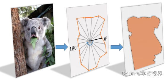 Single Shot Instance Segmentation with Polar Representation基于极坐标表示的单阶段实例分割_极坐标分割 2023-CSDN博客