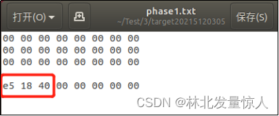 CSAPP-AttackLab实验_csapp实验attack lab-CSDN博客