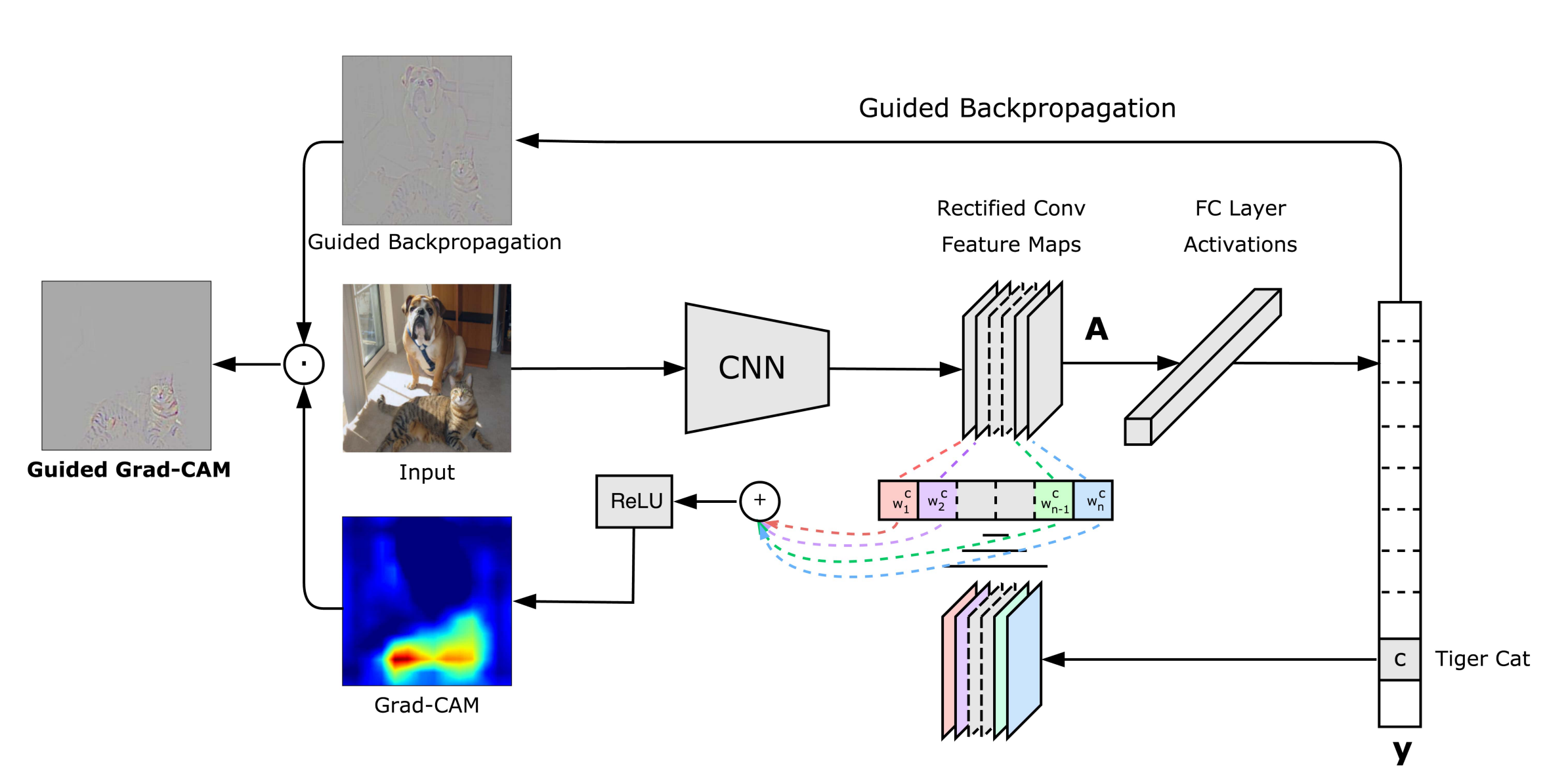 神经网络的解释方法之GAP、CAM、Grad-CAM、Grad-CAM++的理解_神经网络gap-CSDN博客