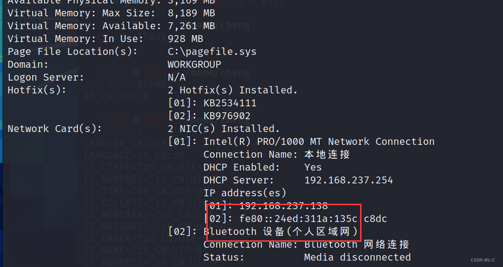 kali获取Window的shell后续一直乱码_kali渗透windows后乱码-CSDN博客