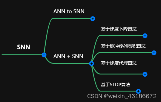 那些年与SNN的爱恨情仇_snn ann-CSDN博客