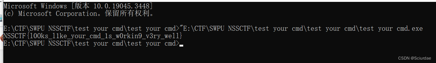2023年SWPU NSS 秋季招新赛 CTF Reverse‘方向WP详解_[swpuctf 2023 秋季新生赛]junk code-CSDN博客