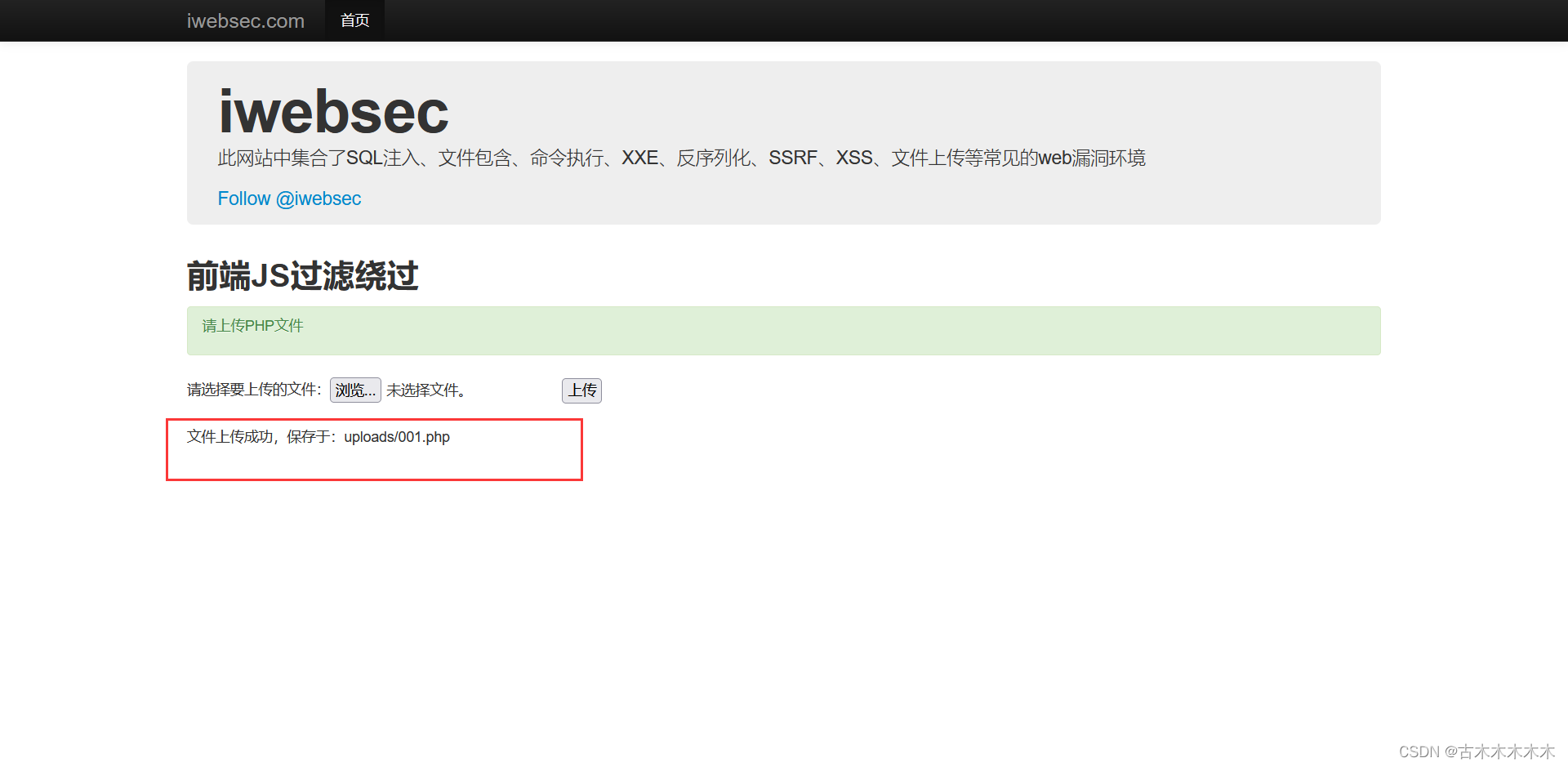 iwebsec文件上传漏洞-前端JS过滤绕过_前端js过滤绕过的原理是什么?-CSDN博客