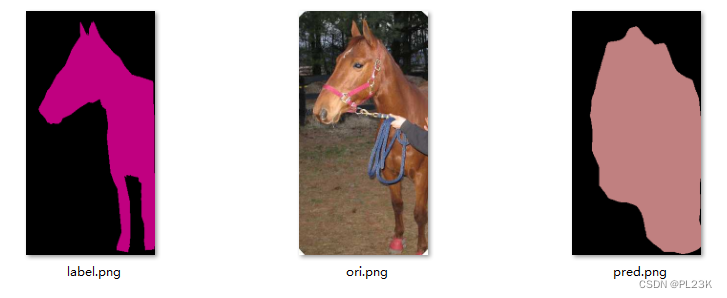 【论文阅读】Fully Convolutional Networks for Semantic Segmentation FCN阅读、理解和复现-CSDN博客