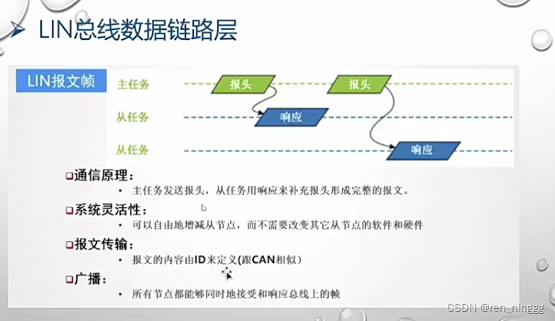 LIN网络-CSDN博客