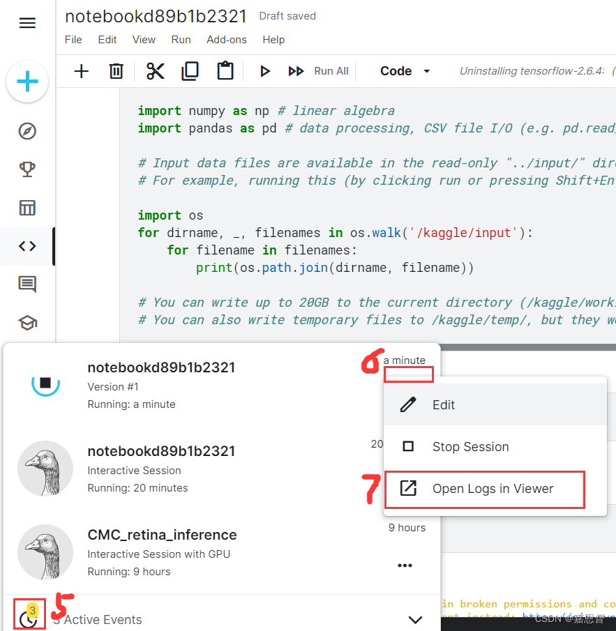 Kaggle服务器初体验记录-CSDN博客