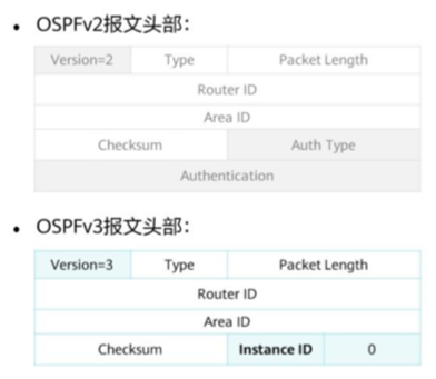 OSPFv3报文讲解（与OSPFv2的区别）_ospfv2和ospfv3认证区别-CSDN博客