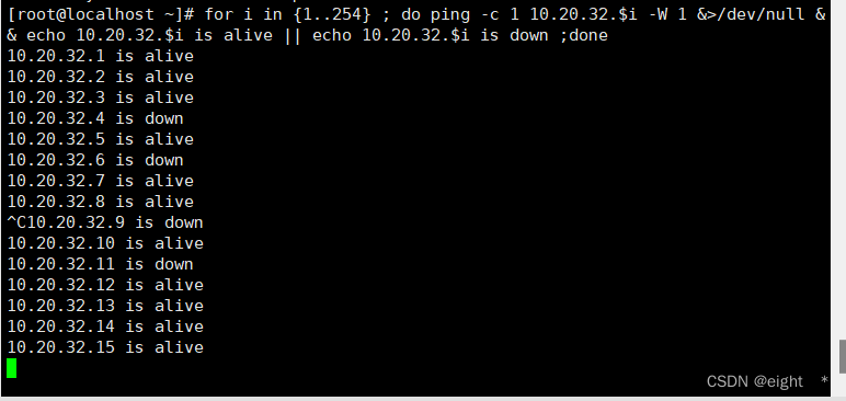 命令行批量测试网络连通性_批量网络连通性检查-CSDN博客