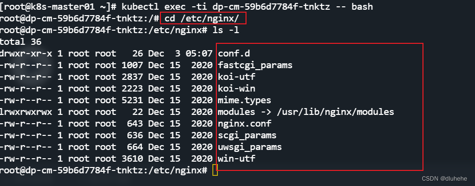 第8章 K8s基础篇-配置管理_kubectl create cm-CSDN博客
