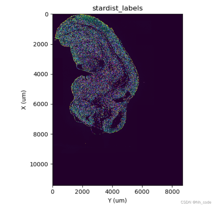 Spateo基于SSDNA圈细胞操作指南_ssdna染色-CSDN博客