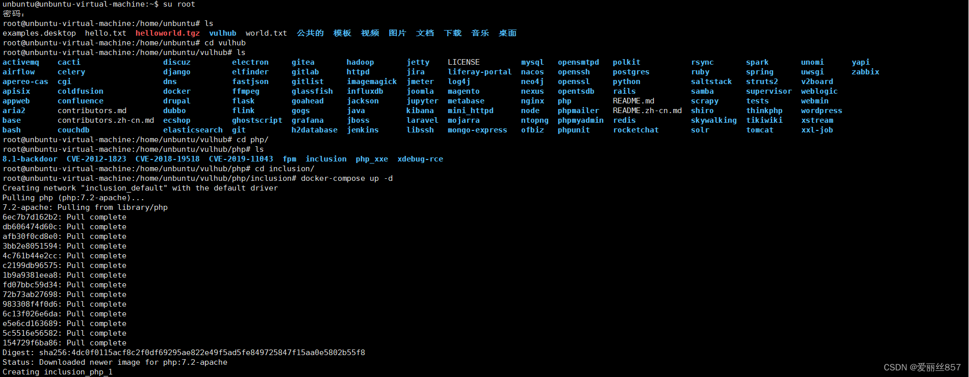 vulhub PHP文件包含漏洞(利用phpinfo)复现-CSDN博客