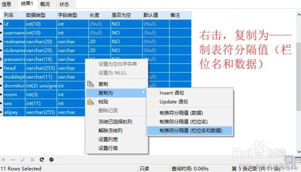 Navicat如何导出Excel格式的表结构_navicat导出表结构成表格-CSDN博客