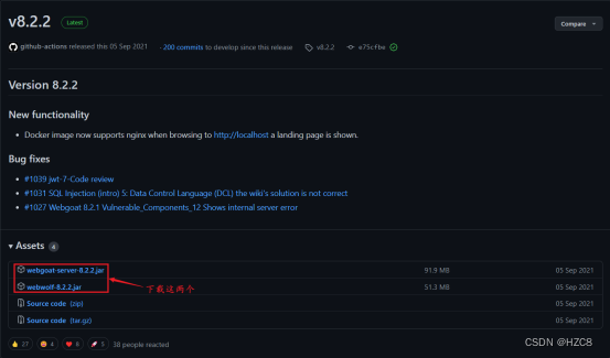 WebGoat8.2.2下载安装（Windows）_webgoat下载-CSDN博客