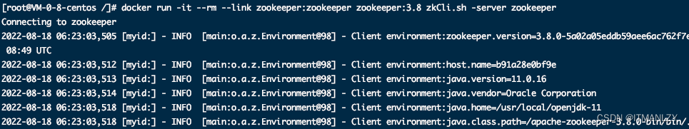 docker安装zookeeper_查看docker是否成功启动zk-CSDN博客