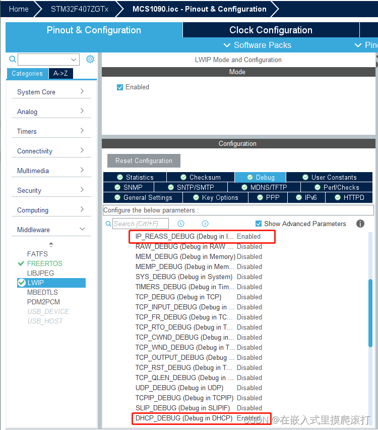 关于LWIP用法之DHCP：动态获取ip，并查看获取的ip地址（_stm32通lwip自动获取ip-CSDN博客