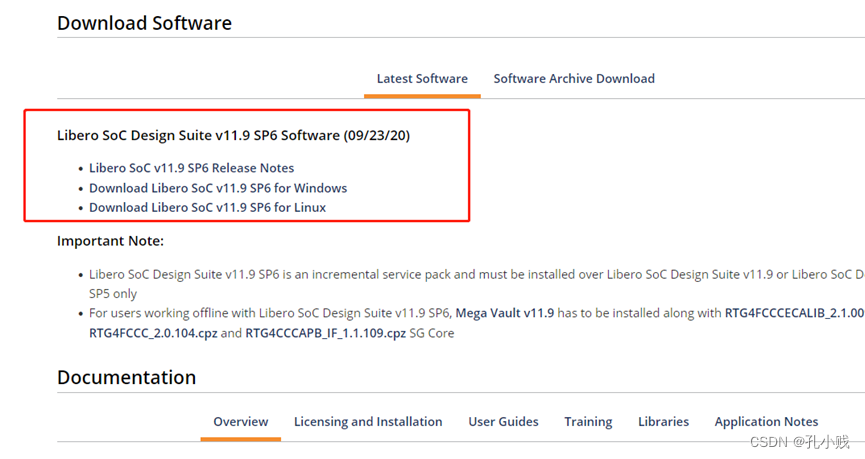 Libero的使用手册_liberosoc使用教程-CSDN博客