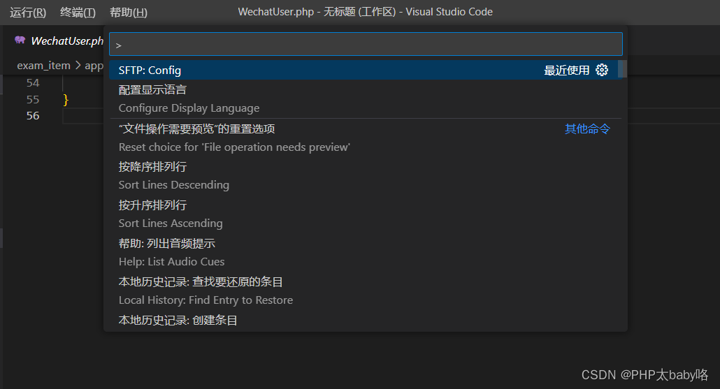 SFTP在VSCode开发工具下的配置与使用_vscode sftp 配置-CSDN博客