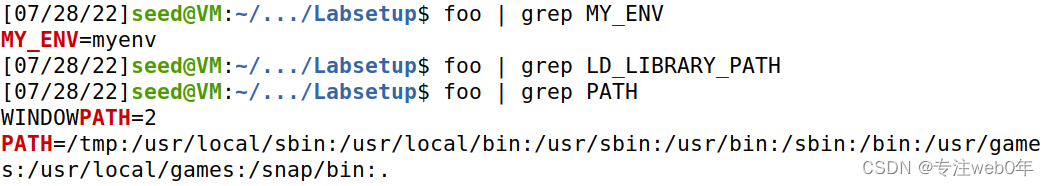 Environment_Variable_and_SetUID_seed 的root密码-CSDN博客