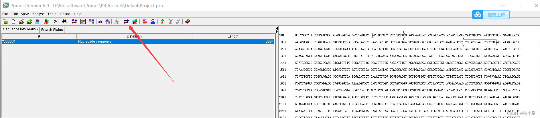 引物设计-Primer6.0-CSDN博客
