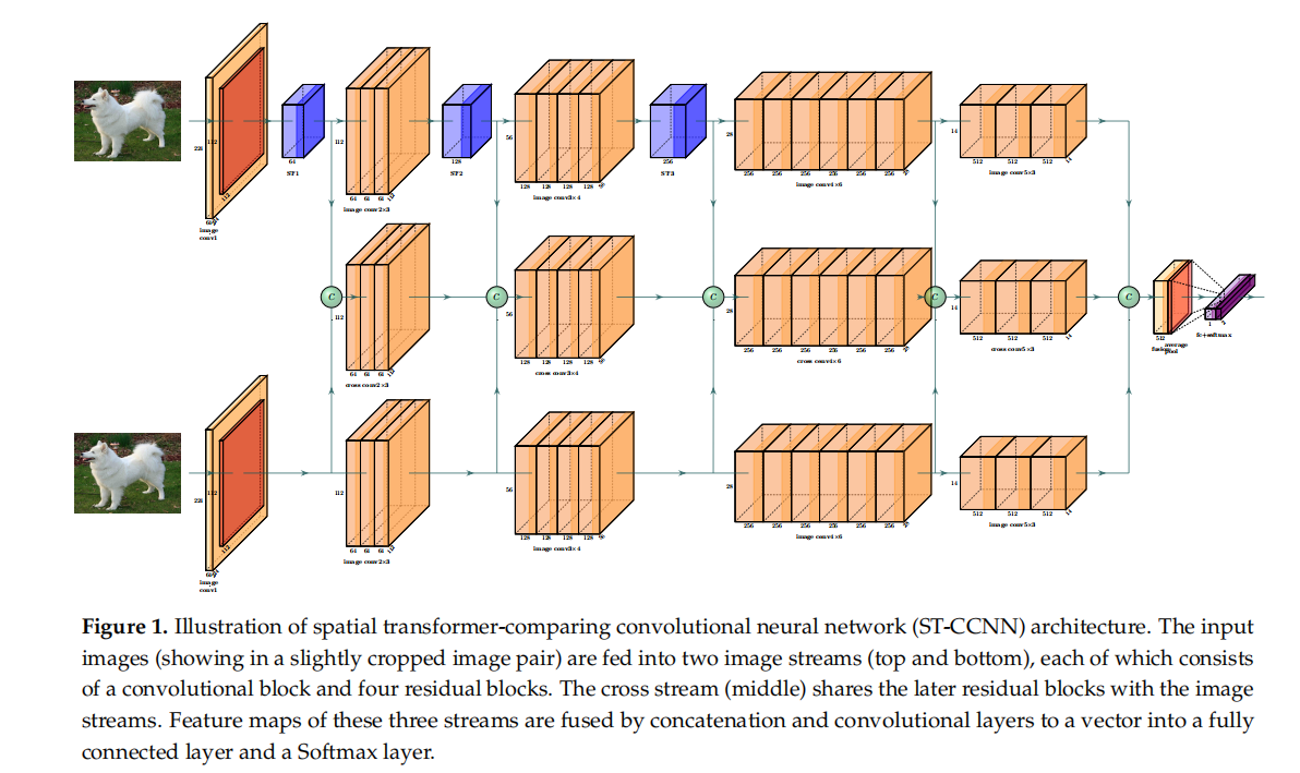 【论文阅读】Single- and Cross-Modality Near Duplicate Image PairsDetection ...