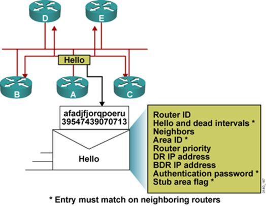 深入理解OSPF的Hello包、DBD包_ospf dbd-CSDN博客