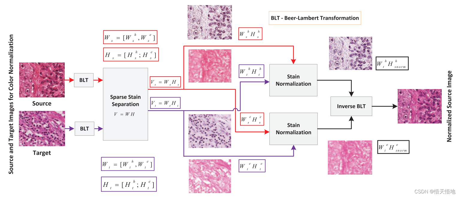 论文笔记——Fast GPU-Enabled Color Normalization for Digital Pathology_structure-preserving color ...