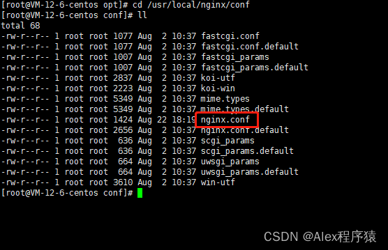 Linux安装nginx详细步骤nginx如何解压 Csdn博客 