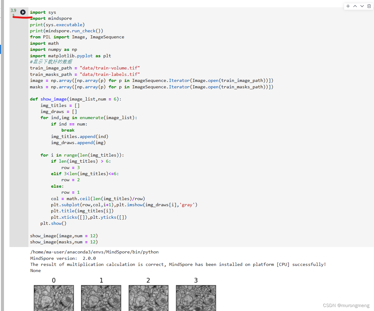 MindSpore社区活动：UNet-2D的图像分割_mindpsore的unet训练 isbi challenge数据集-CSDN博客