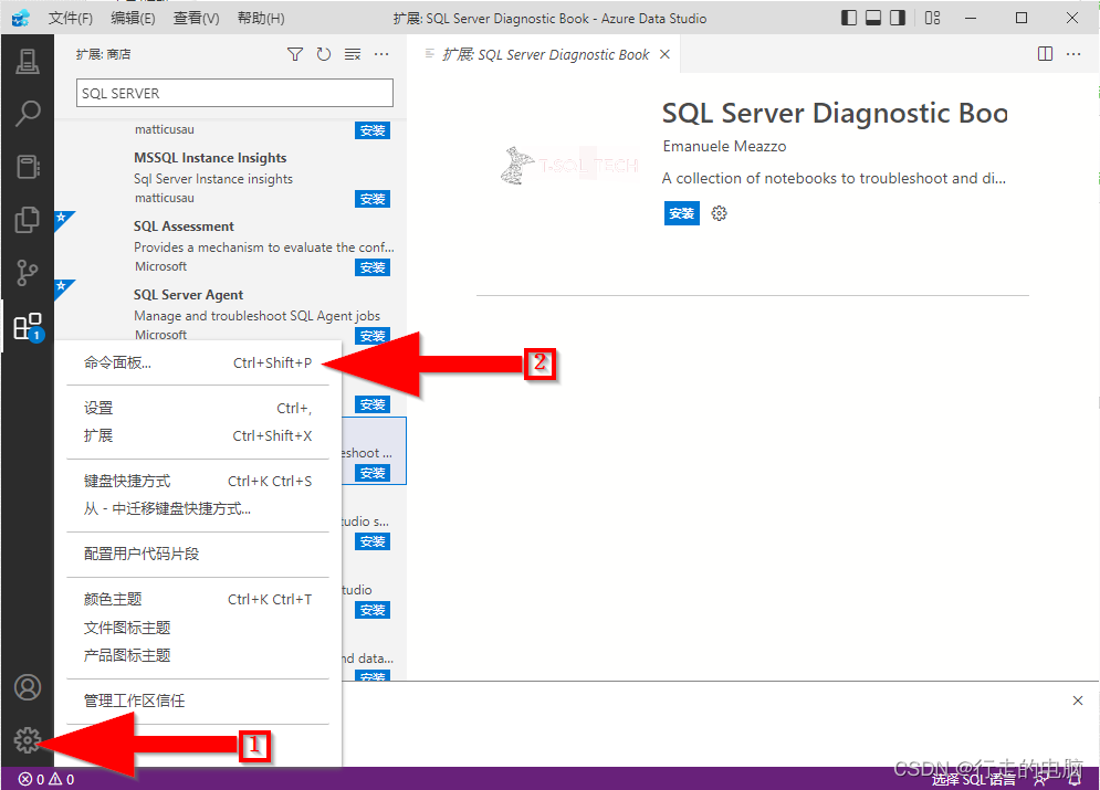 如何更改Azure Data Studio的显示语言_azure data studio设置中文-CSDN博客