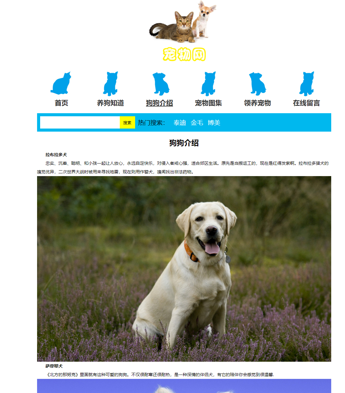 HTML5期末大作业：动物宠物主题网站设计——宠物网(8页)HTML+CSS+JavaScript 学生DW网页设计作业成品 web课程设计网页规划与设计 web学生网页设计作业源码_大一期末 ...