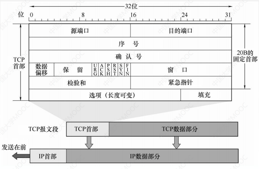 计算机网络：TCP协议特点和TCP报文段格式_tcp分段报文-CSDN博客