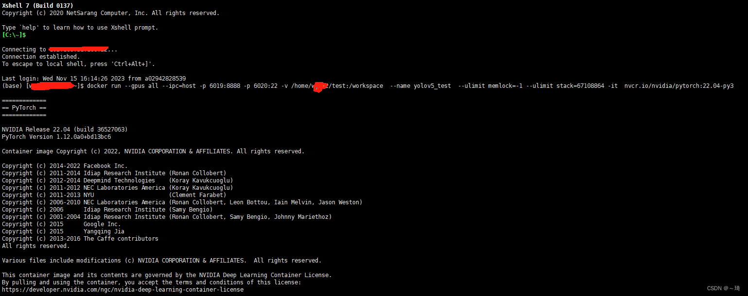 服务器上使用docker搭建pytorch框架下的yolov5训练环境_yolo docker-CSDN博客
