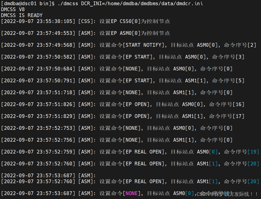 DMDSC部署实践_实现dmdsc-CSDN博客