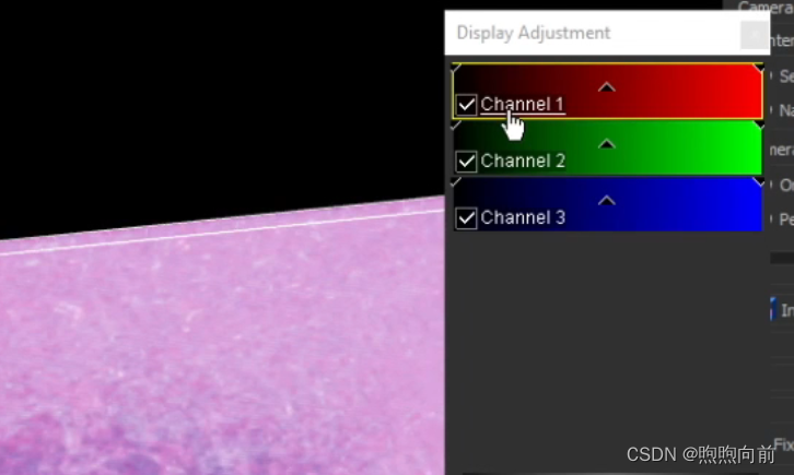 Imaris导入数据和初步使用_imaris教程-CSDN博客