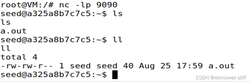 TCP/IP Attack Lab（SEED实验）_米特尼克攻击实验-CSDN博客