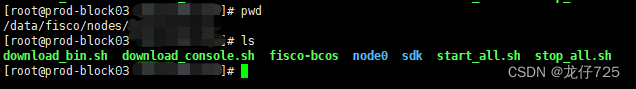 fisco-bcos命令行查看版本号_fisco-bcos java-sdk版本怎么查-CSDN博客