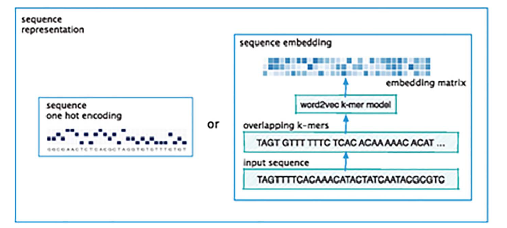 DNA/RNA基序挖掘中的深度学习研究进展（A survey on deep learning in DNA/RNA motif mining）_rnaincoder: a deep ...