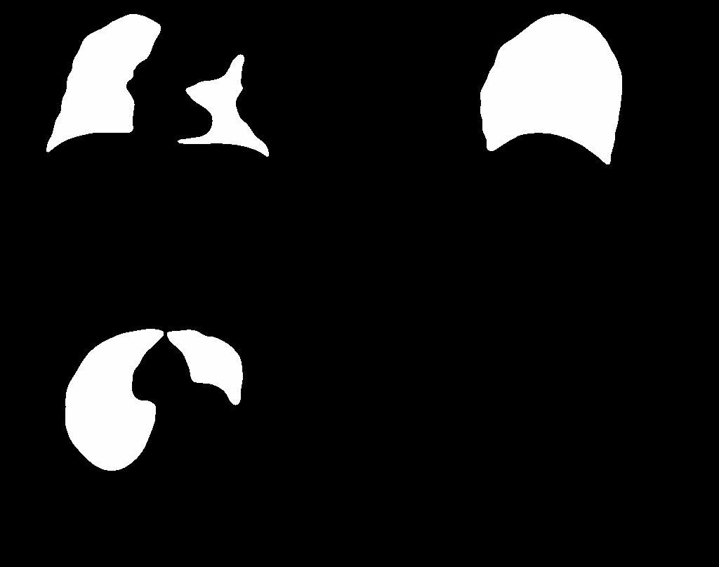 VTK: STL (vtkPolyData) 转 Mask（vtkImageData）_vtkimagemask-CSDN博客