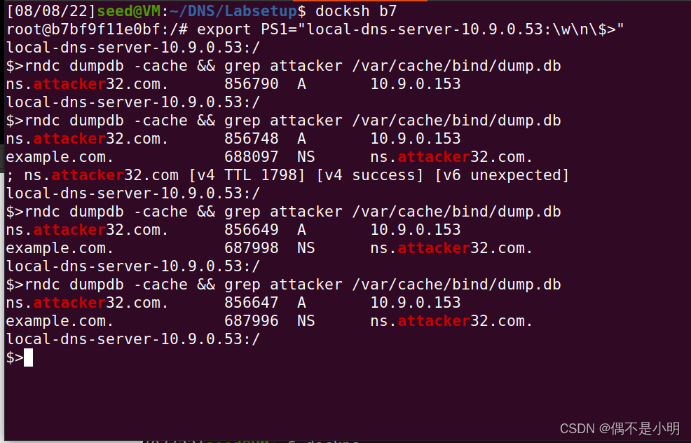 【SEED LABS】The Kaminsky Attack Lab-CSDN博客