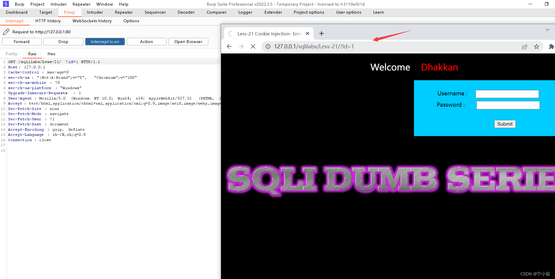 初识burp【简单抓包与查看】_burp中response咋查看-CSDN博客