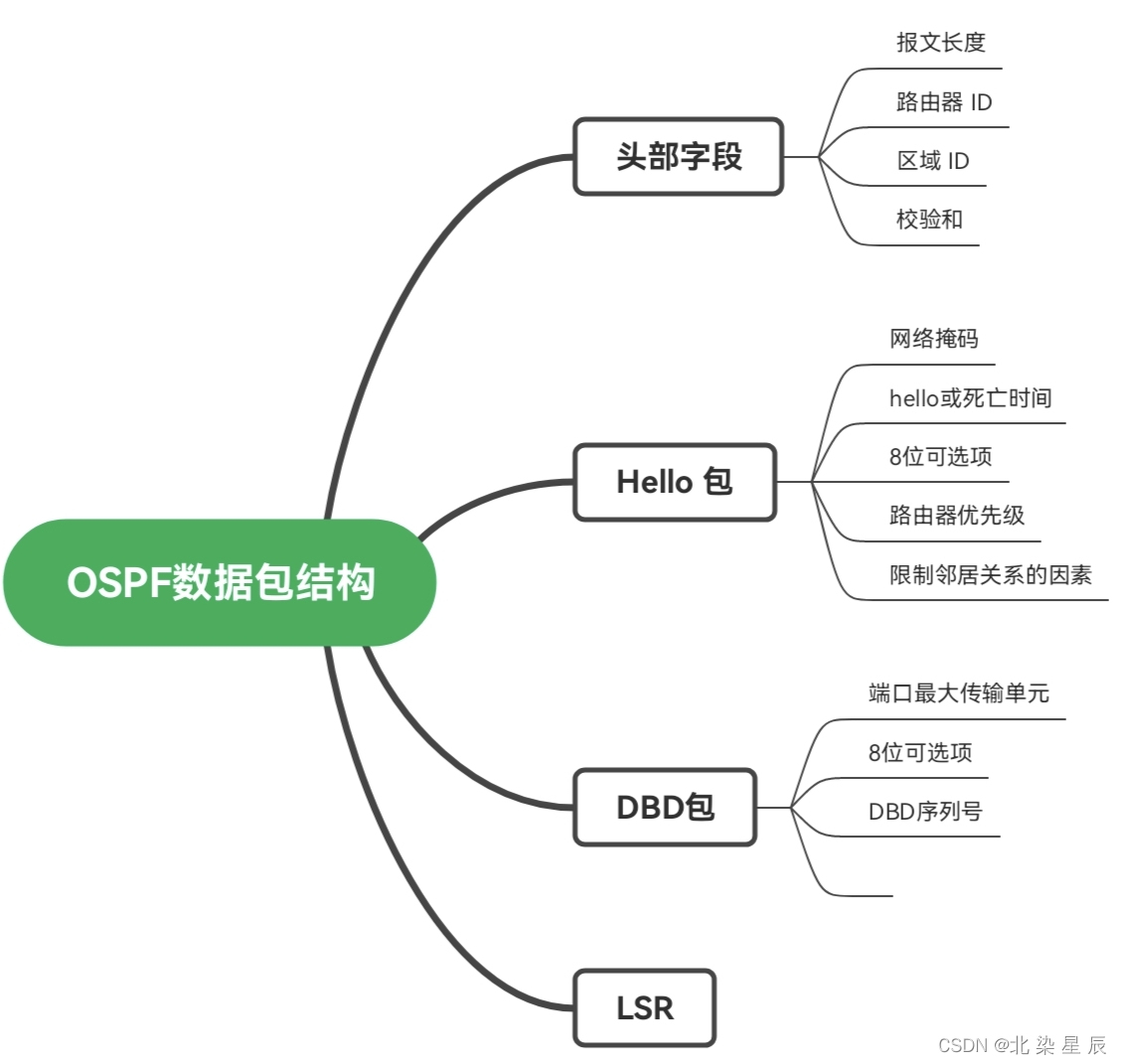 HCIP----OSPF的数据包结构_ospf数据包结构-CSDN博客